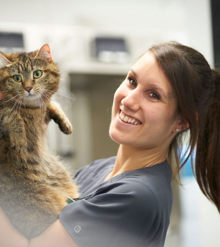 We are one team | Wilbury Vets | Brighton